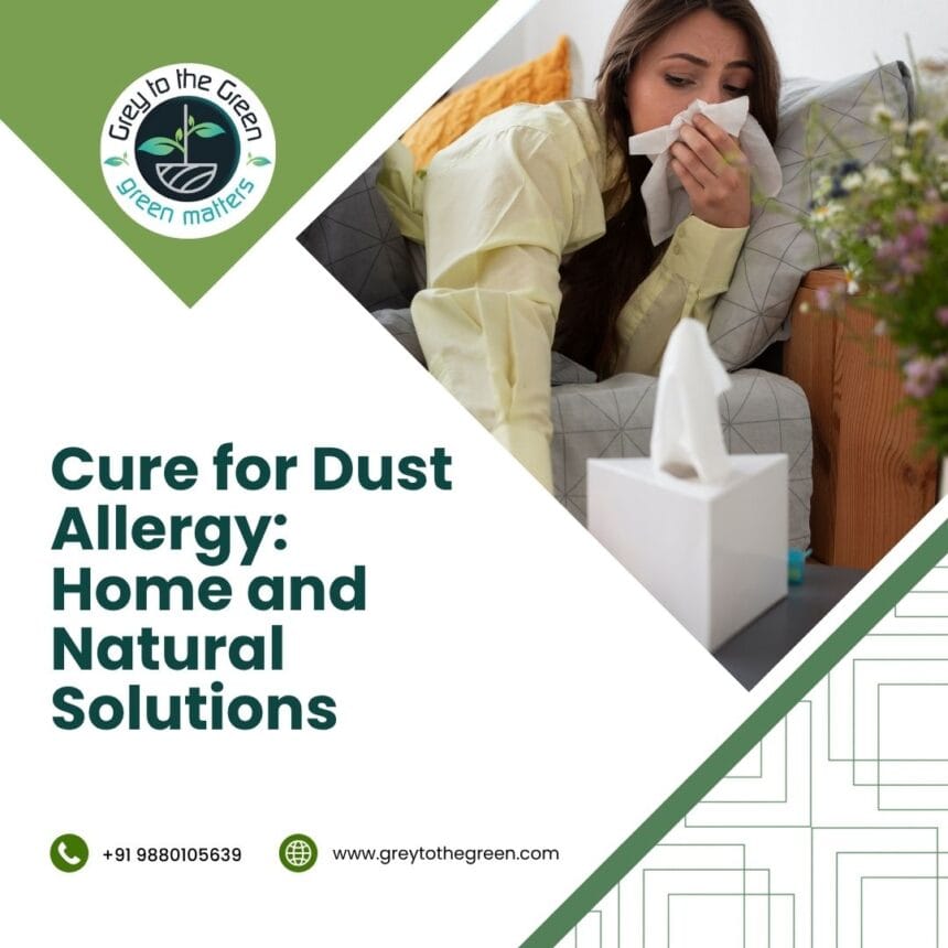 Cure for Dust Allergy: Home and Natural Solutions